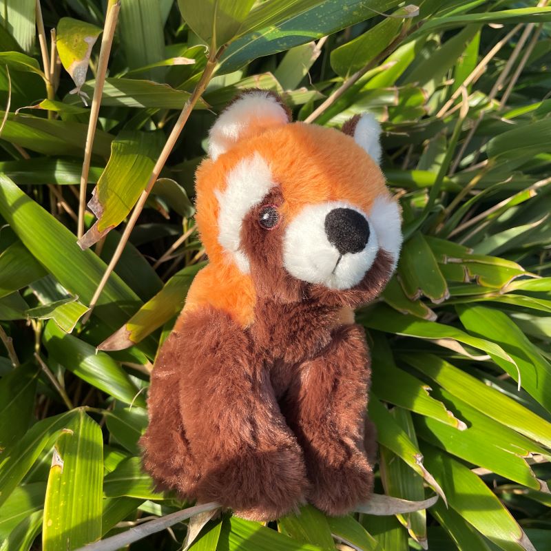 Red Panda - Eco Medium Soft Toy – Yorkshire Wildlife Park
