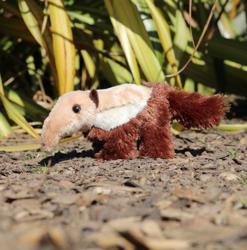 Anteater - Small Soft Toy – Yorkshire Wildlife Park