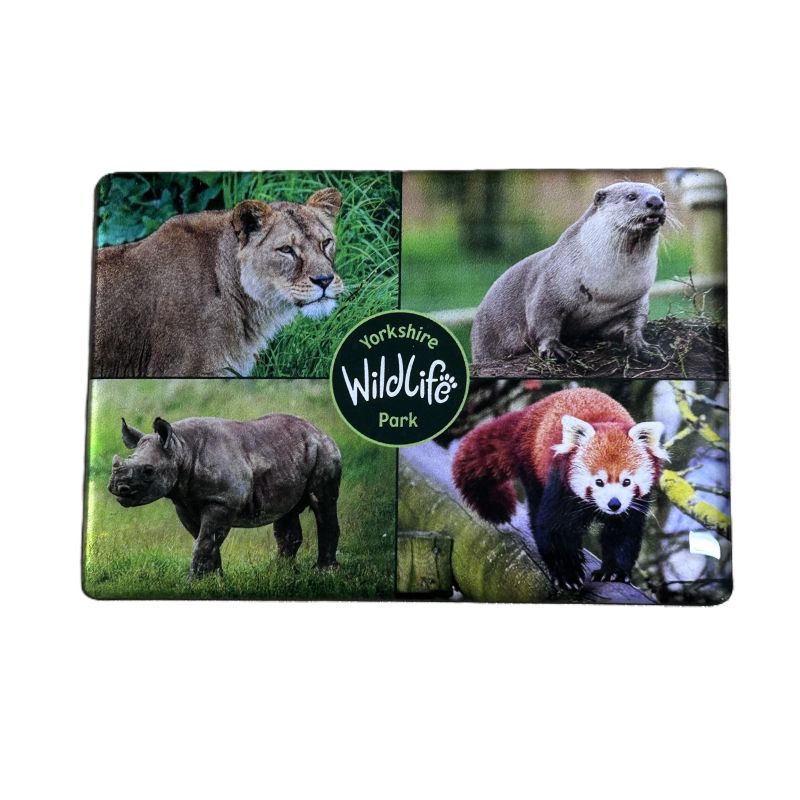 Yorkshire Wildlife Park - Animal Magnet II - Rectangular