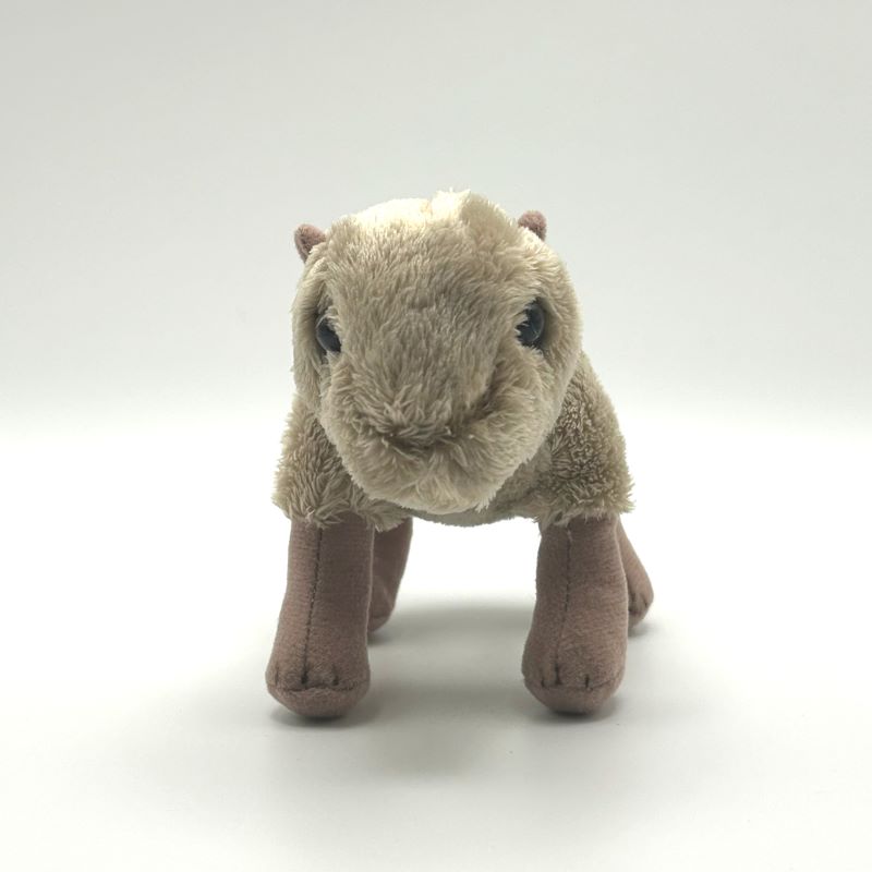 Capybara - Small Soft Toy - 15cm – Yorkshire Wildlife Park
