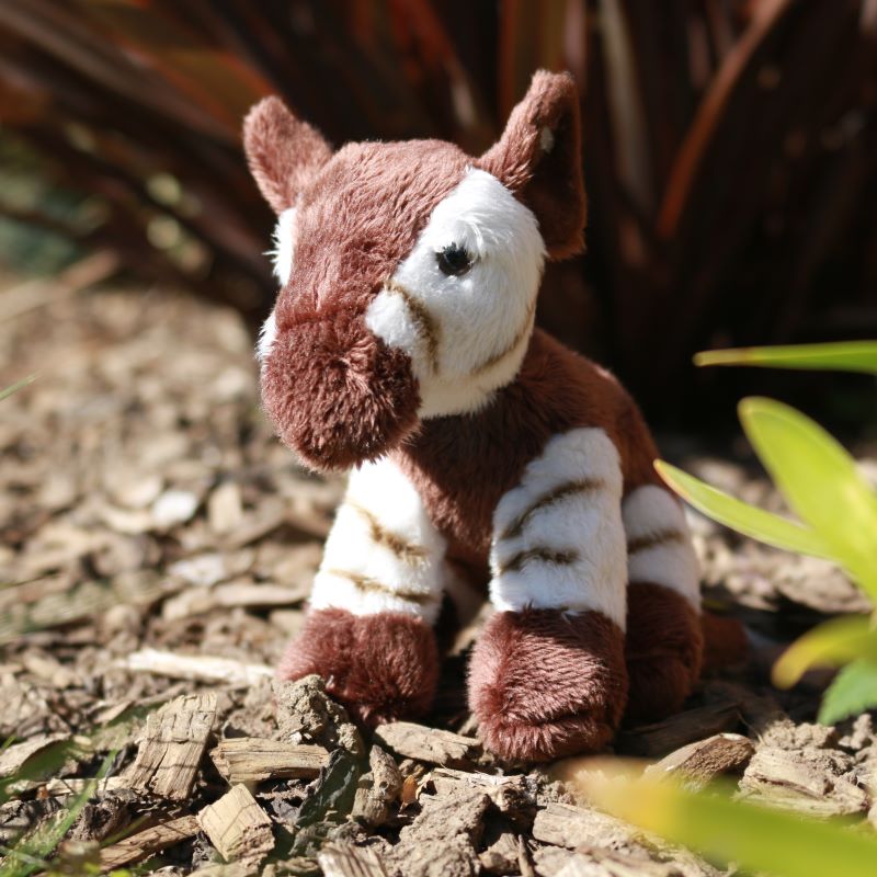 Okapi - Small Soft Toy – Yorkshire Wildlife Park